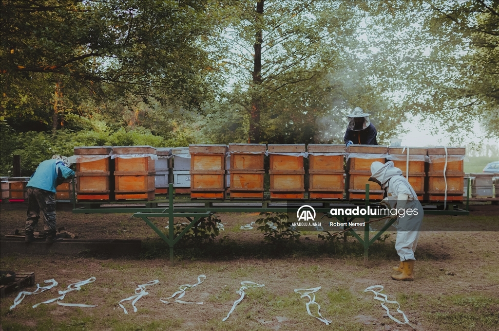 Anadolu Ajansı