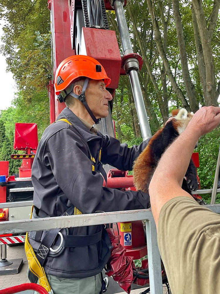 Bir Huzur Vermediniz: Hayvanat Bahçesinden Kaçan Özgürlüğüne Düşkün ...