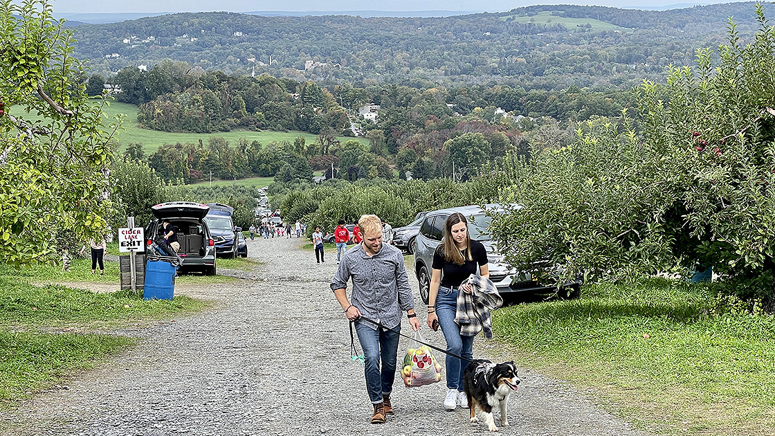 ABD'de aileler sonbaharda hafta sonlarını elma toplayarak geçiriyor